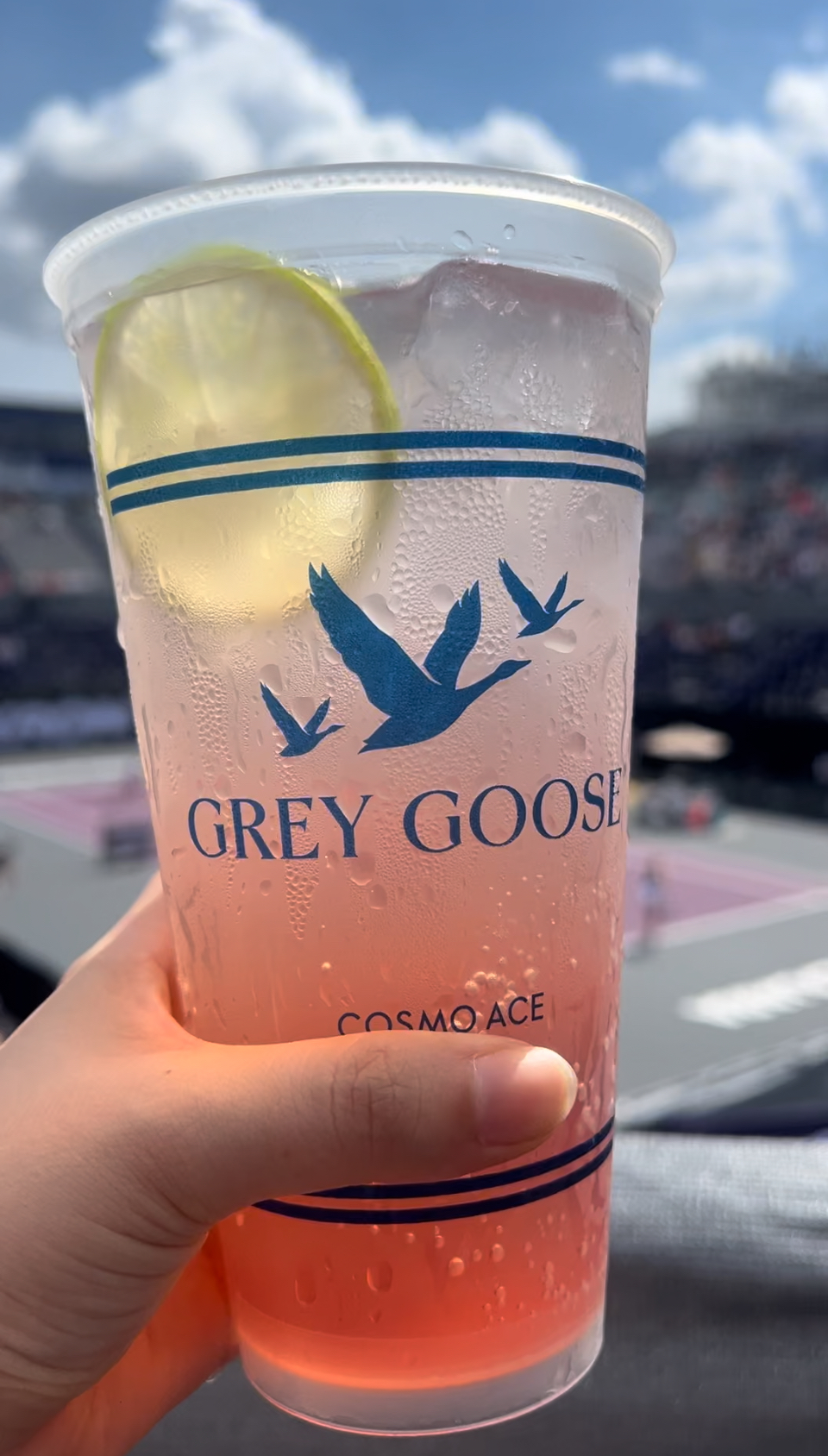 Cosmo Ace de Grey Goose Vodka: Una experiencia única y sofisticada del ...